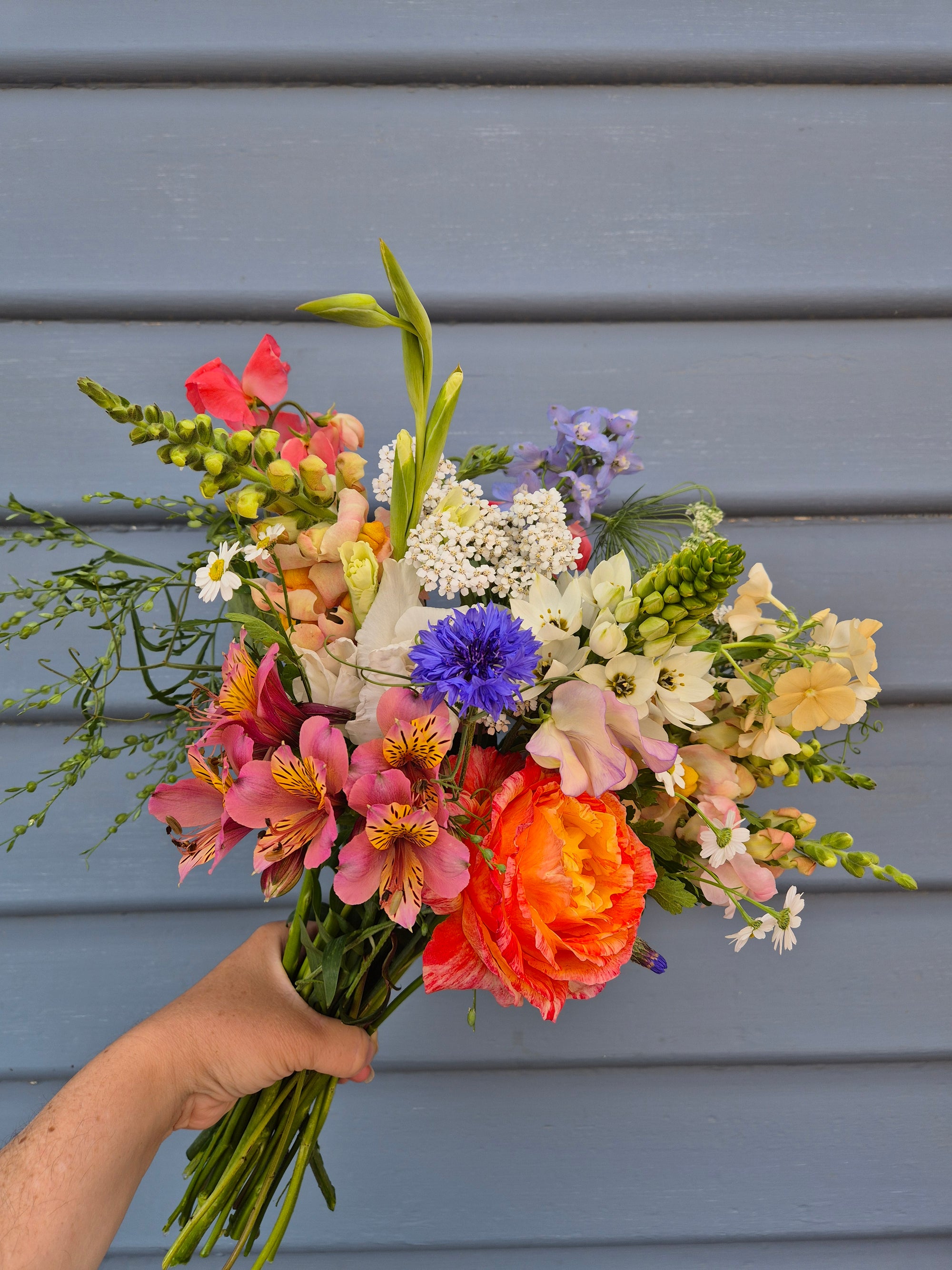 Welcome to LITTLE FLOWER PATCH FARM