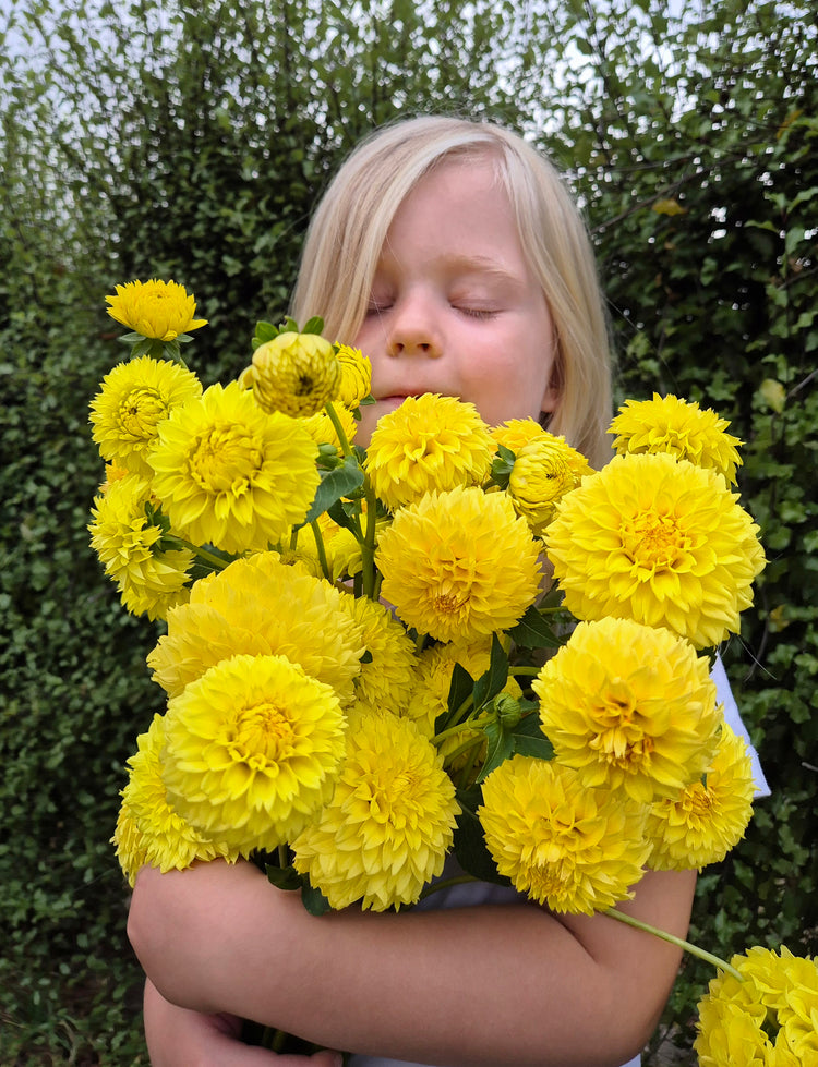 Welcome to LITTLE FLOWER PATCH FARM